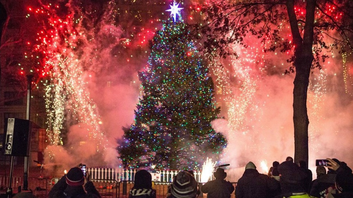 2021 Boston Christmas Tree Coming From Cape Breton | goCapeBreton.com